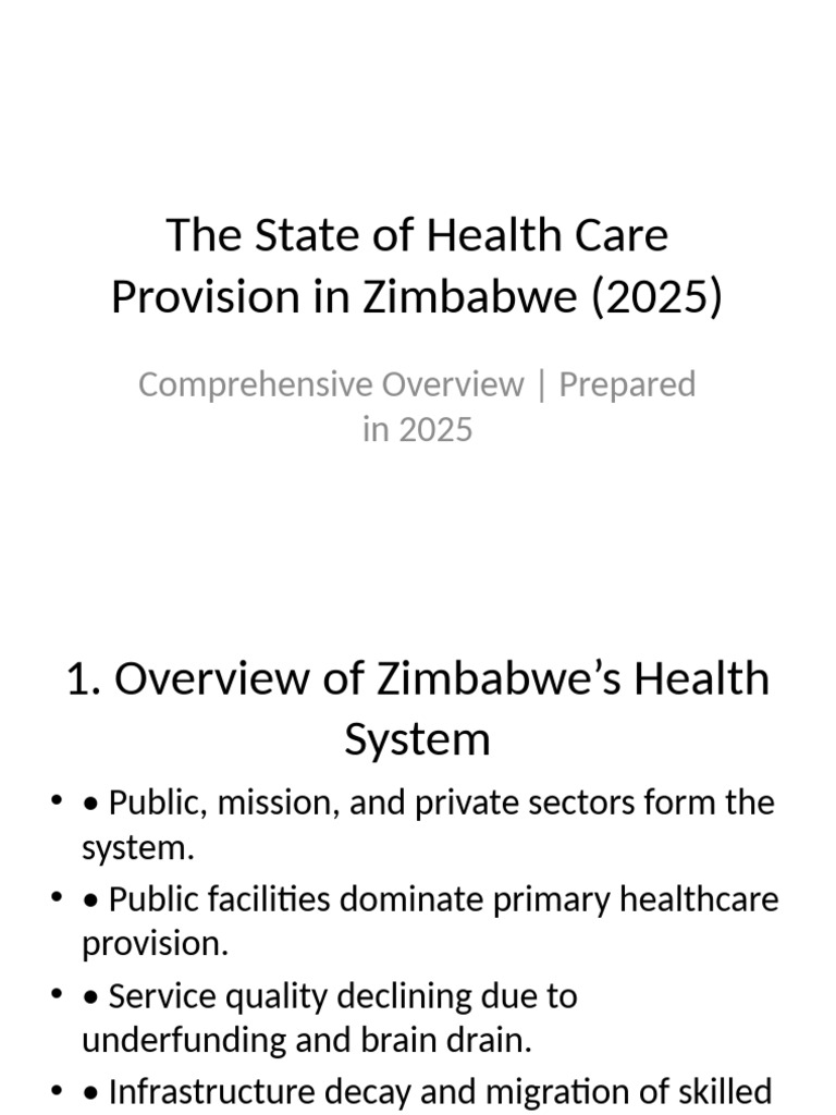 Health Care Challenges in Zimbabwe 2025 | PDF | Health Human Resources ...