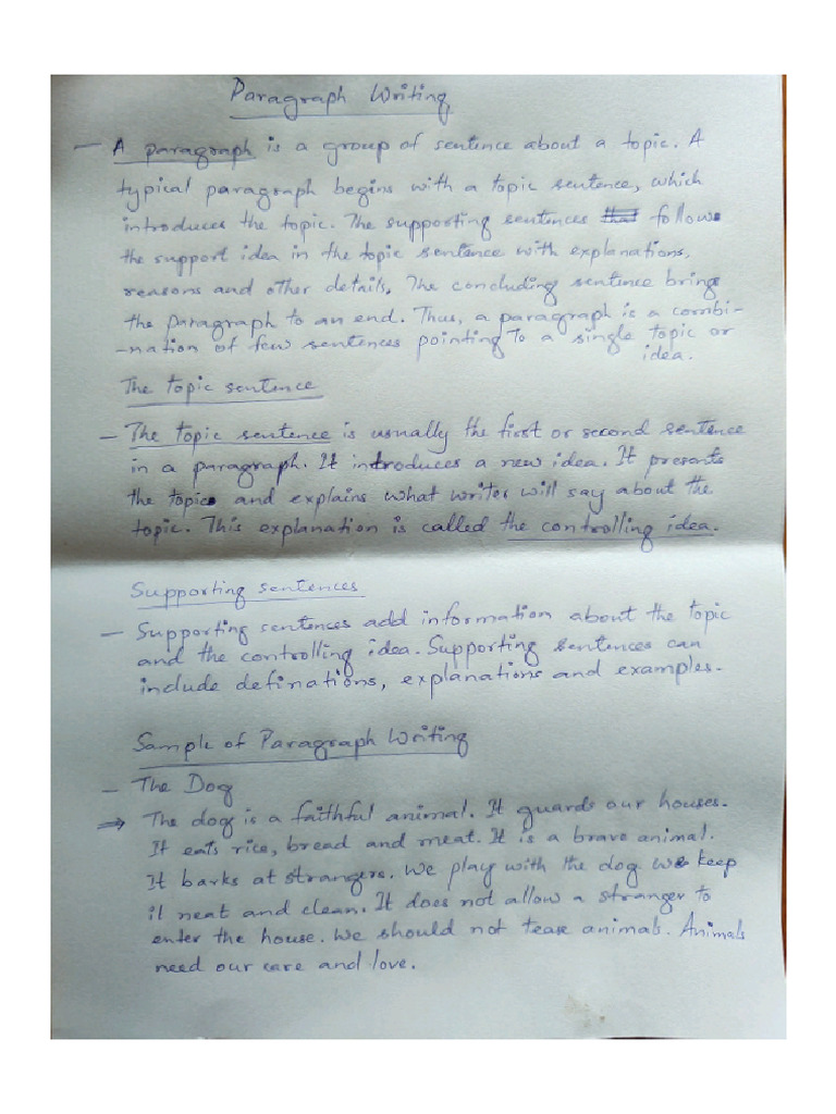 Paragraph Writing | PDF