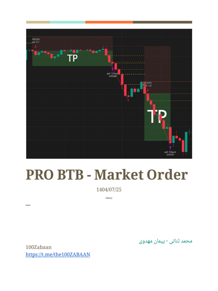 دفترچه راهنمای Pro Btb | PDF