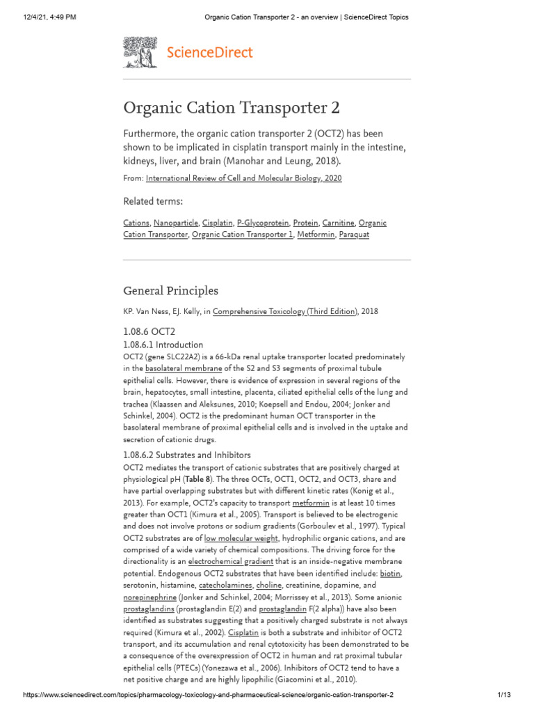 Organic Cation Transporter 2 - An Overview - ScienceDirect Topics | PDF ...