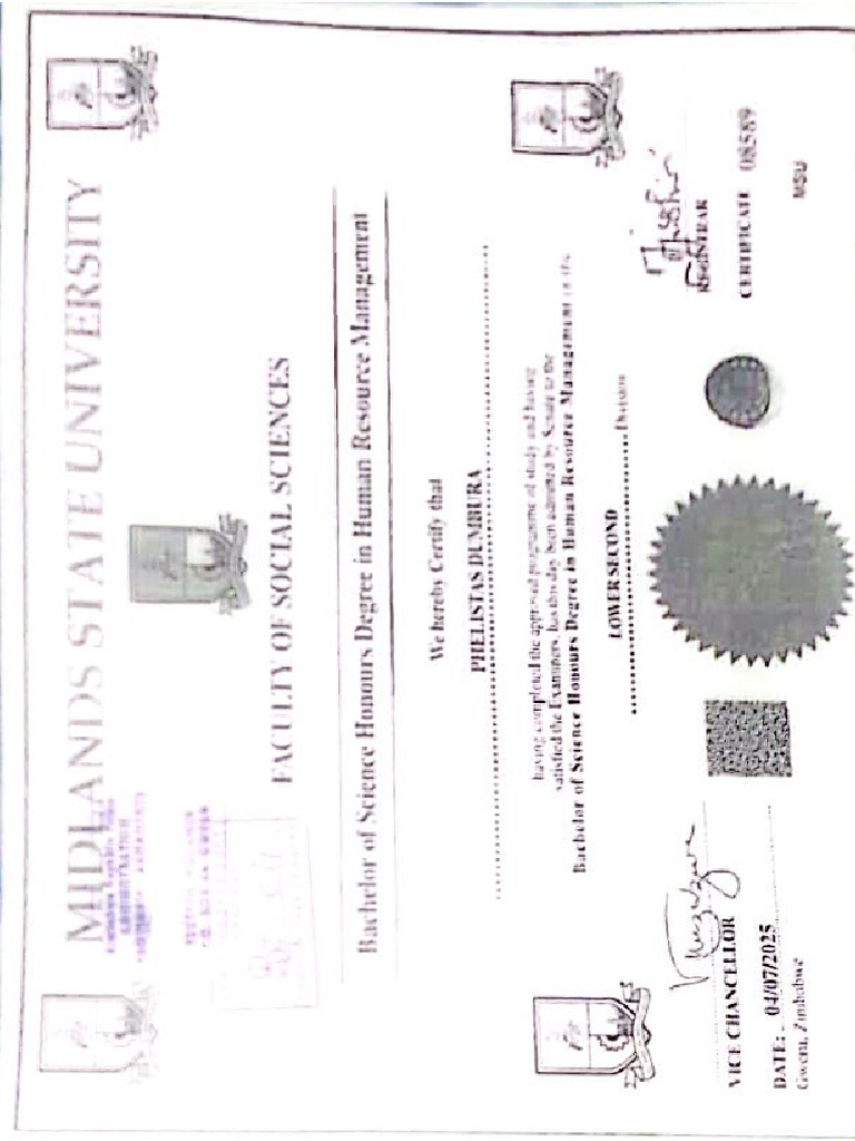 MSU Certificate | PDF