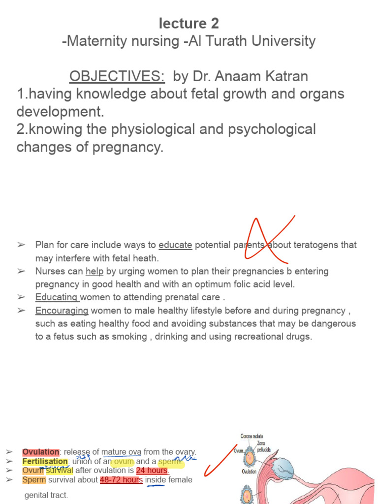 Lect-2-Normal Pregnancy - Google Slides | PDF | Pregnancy | Placenta