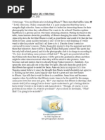 Stargirl Chapter Summaries | PDF