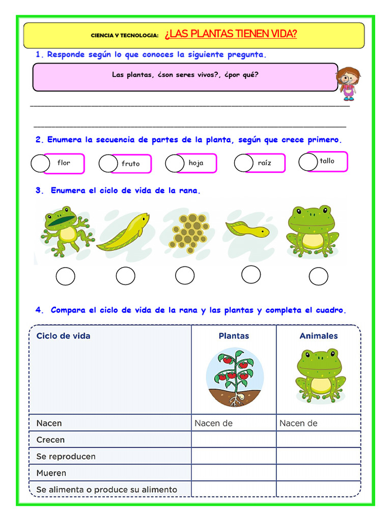 Ciclos de Vida: Plantas y Ranas | PDF