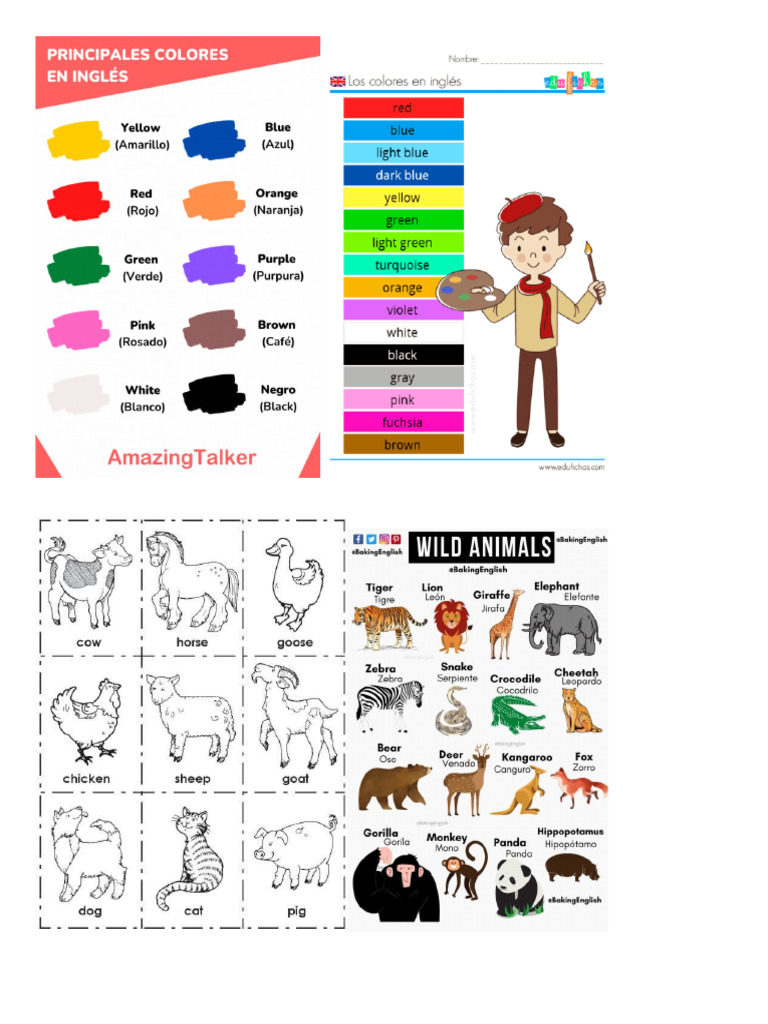 Colors and Animals | PDF