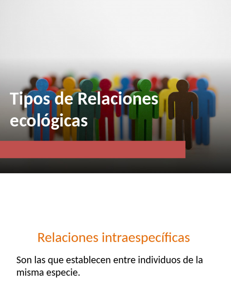 Tipos de Relaciones Ecológicas | PDF | Hongo | Algas