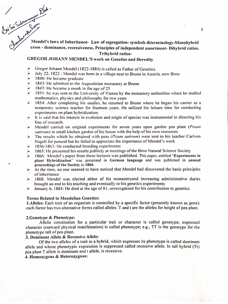 Mendel's Laws of Inheritance | PDF