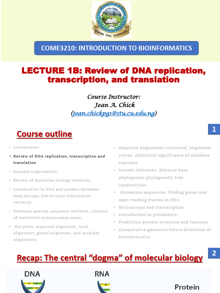 COME3210 Lecture 1B Replication Transcription and Translation | PDF ...