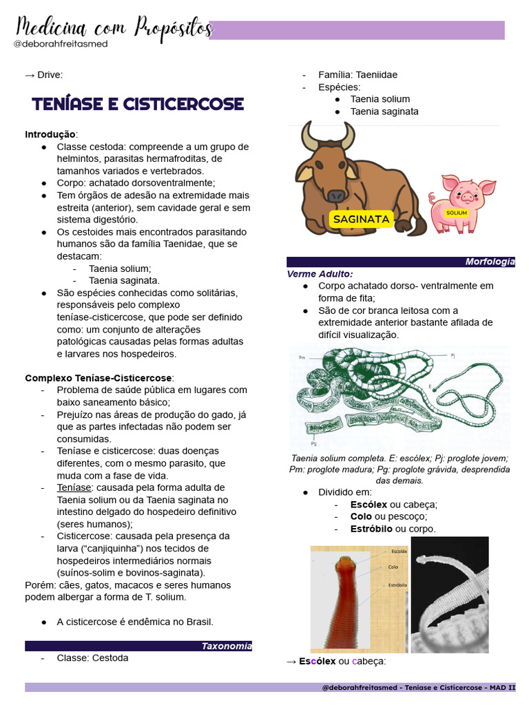 Teníase e Cisticercose: Aspectos Gerais | PDF | Doenças e distúrbios ...