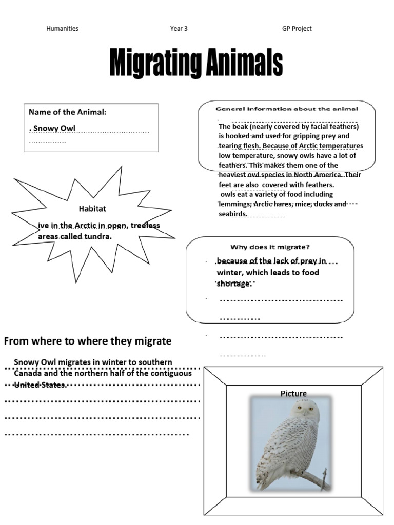 Migrating Animals | PDF