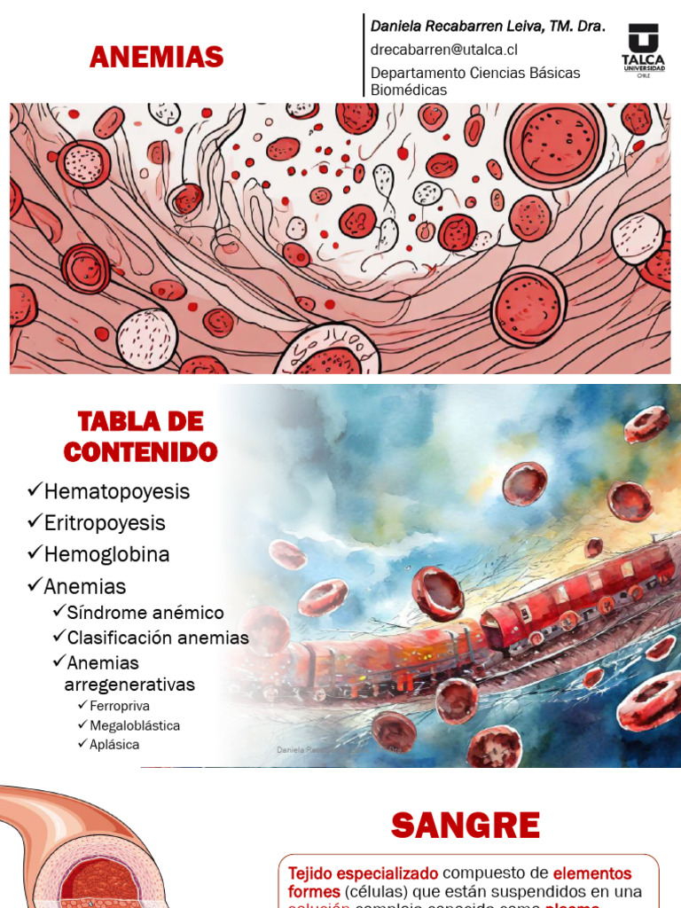Tipos y Clasificación de Anemias | PDF | Anemia | Sangre