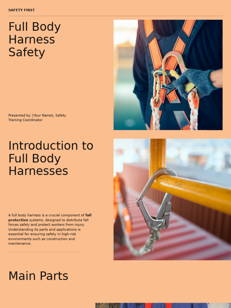 Full Body Harness Components Explained | PDF