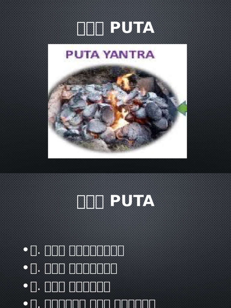 7.puta Concept Definition Types | PDF
