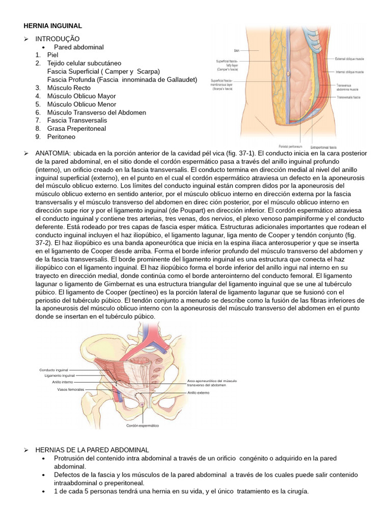 Hernia Inguinal | PDF | Abdomen
