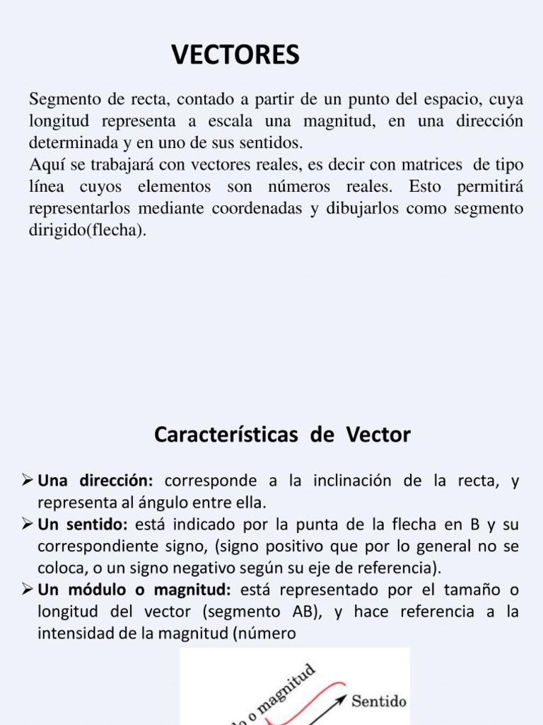 Vector e Sul LLLLL | PDF