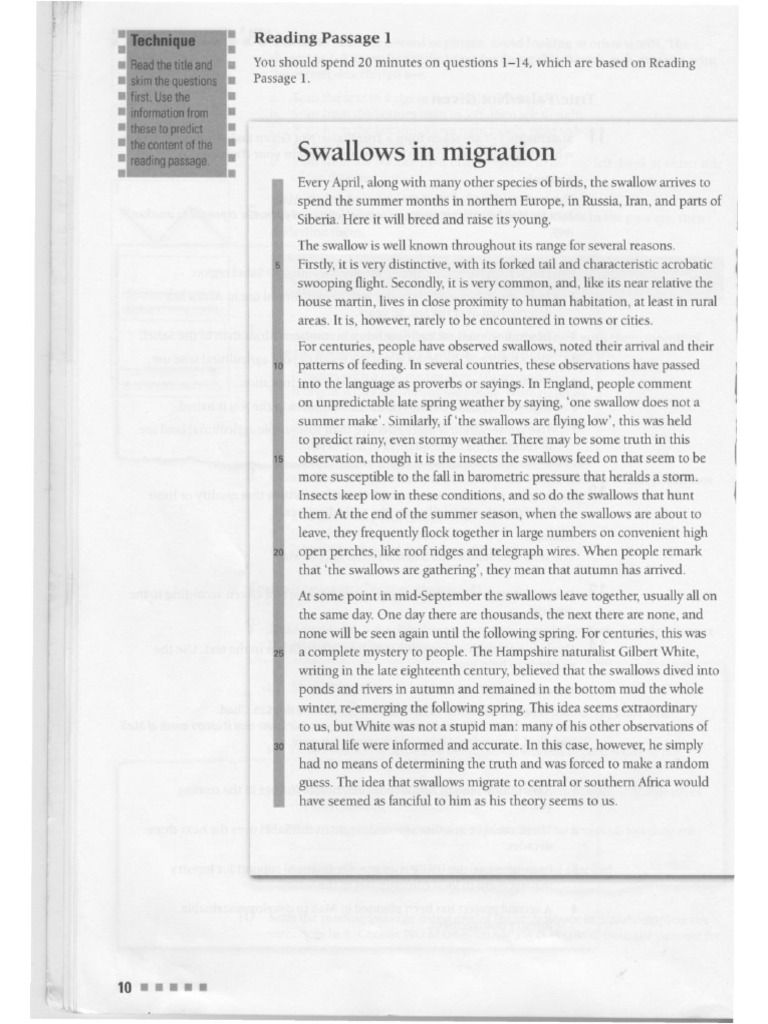 Improve Your IELTS Reading Skills | PDF