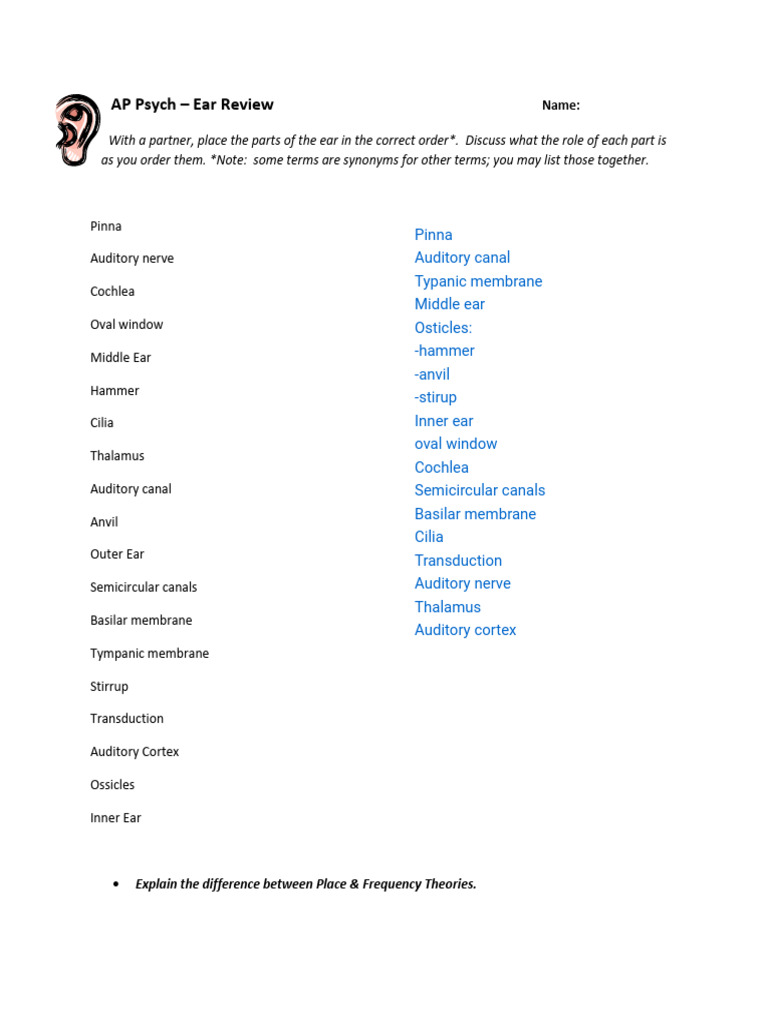 Eye & Ear Order Review Ws | PDF | Ear | Auditory System