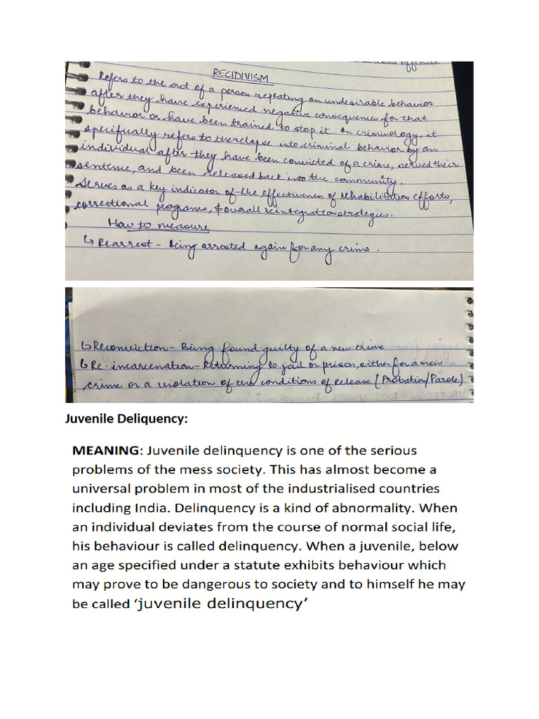 Understanding Juvenile Delinquency and Parole | PDF | Parole | Probation