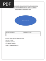 Blank Sample of EDPM SBA | PDF | Qualitative Research | Data