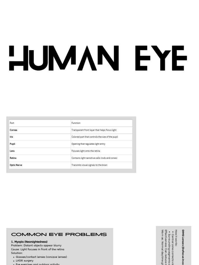 HUMAN EYE | PDF