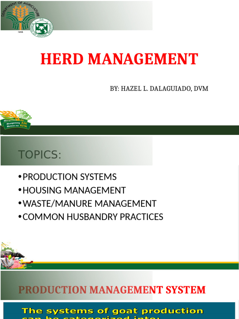 Goat Herd Management Essentials | PDF | Goat | Surgery