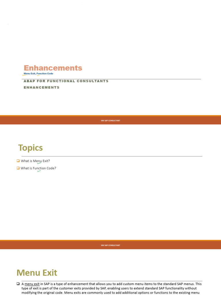 SAP Menu Exit and Function Codes Explained | PDF