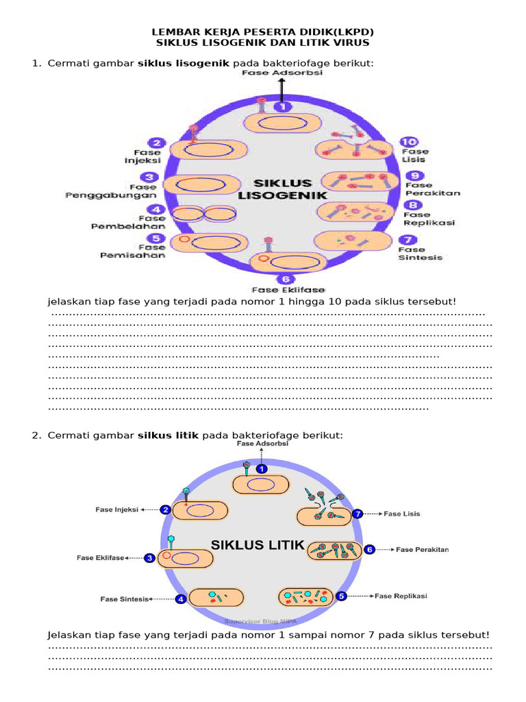Siklus Litik dan Lisogenik Virus | PDF