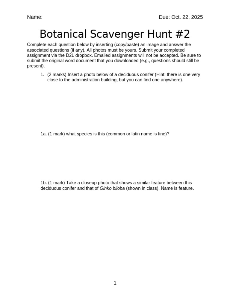 Botanical Scavenger Hunt 2 | PDF