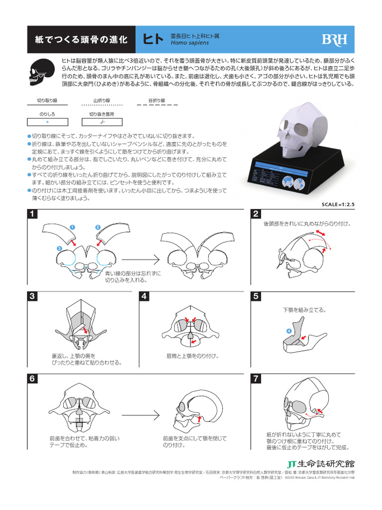 Human | PDF