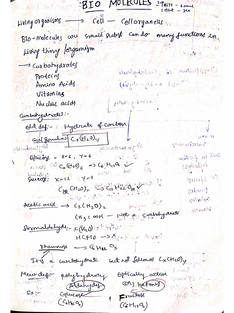 Biomolecules Part 1 Notes | PDF