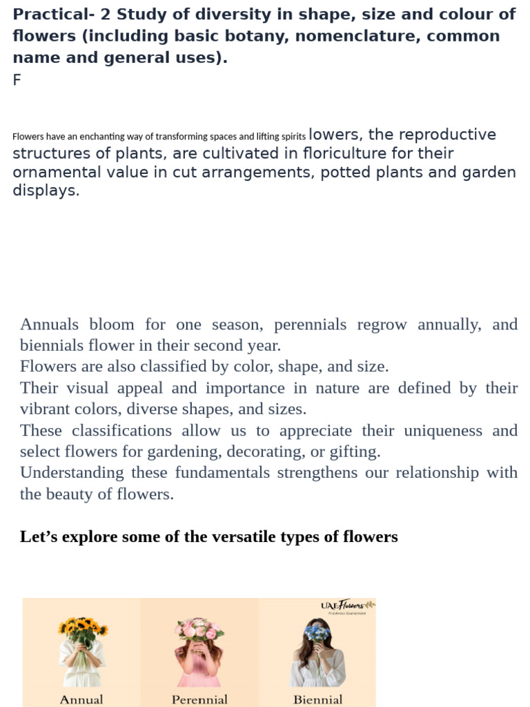 Practical 2 | PDF | Rose | Flowers