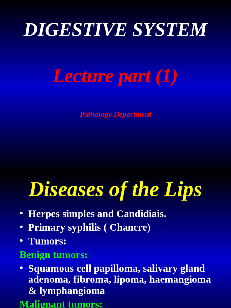 Digestive System Pathologies Overview | PDF | Esophagus | Digestive ...