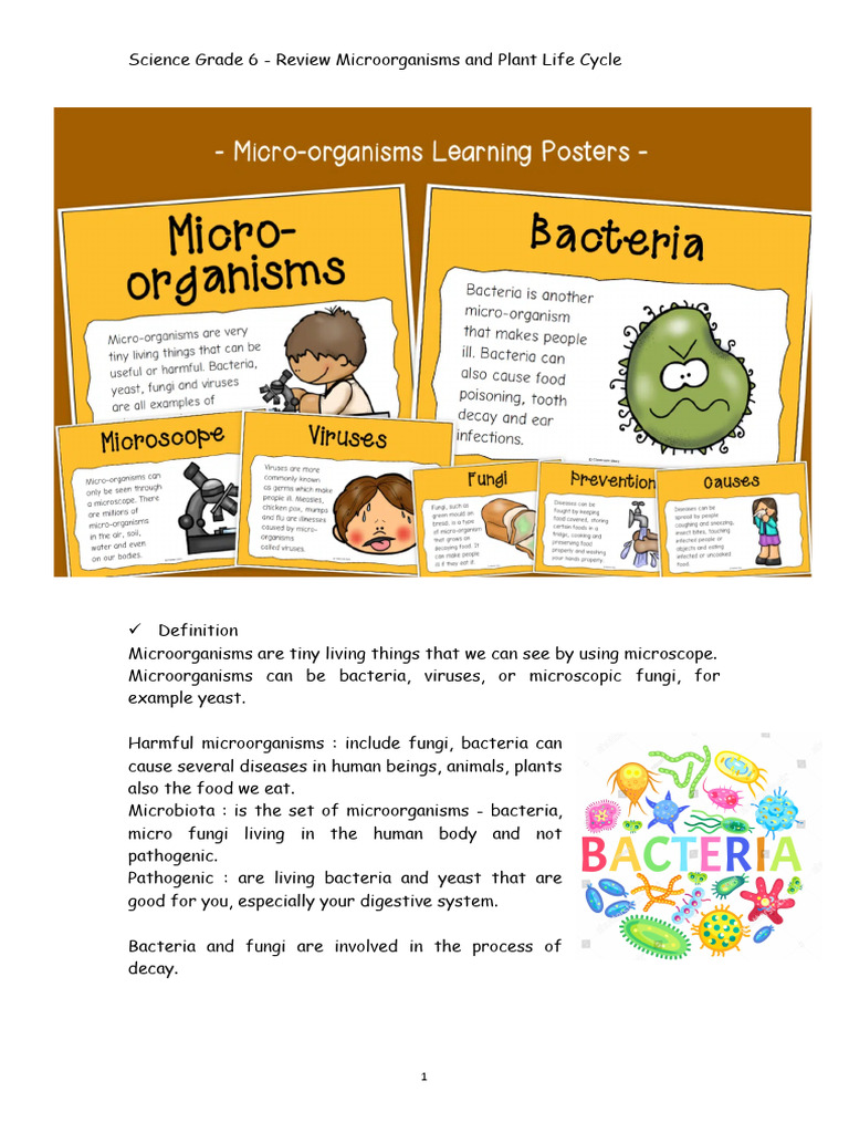 Review Science Microorganisms and Plant Life Cycles PDF | PDF