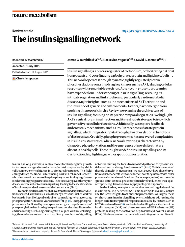 Insulin Signalling Network Review | PDF | Protein Kinase B | Kinase