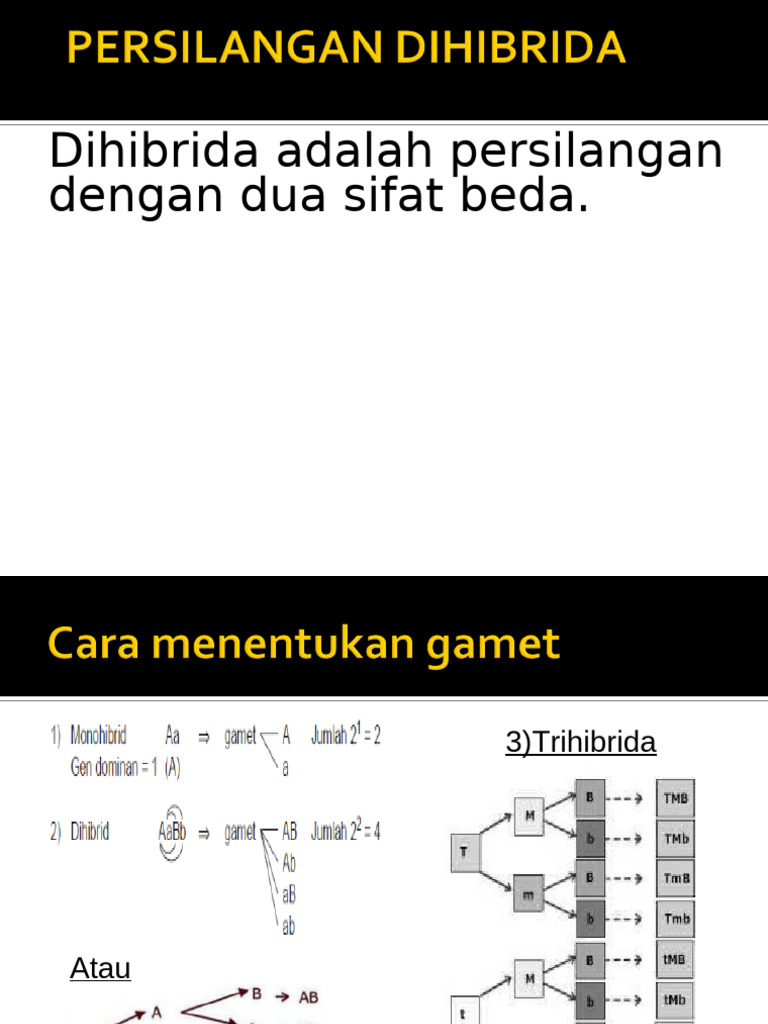 Analisis Genotipe dan Fenotipe F2 | PDF