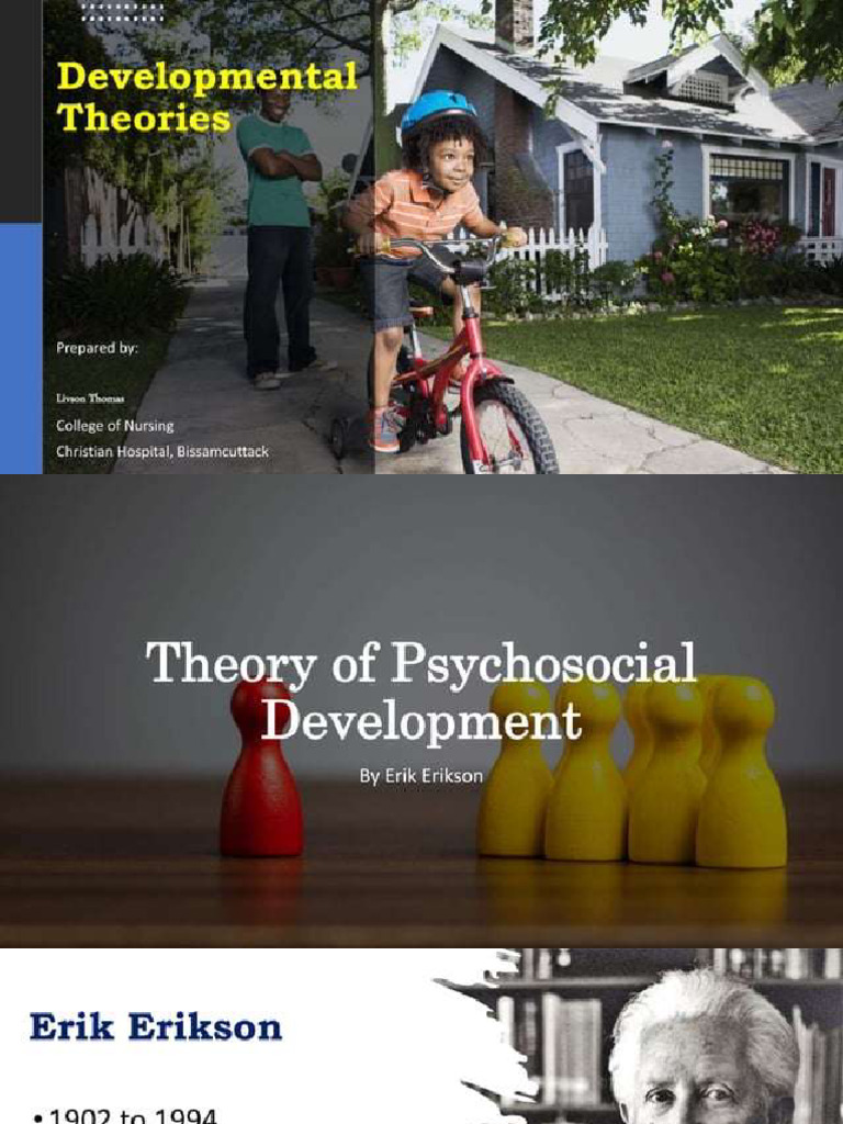 Lesson 1 - Developmental Theories | PDF
