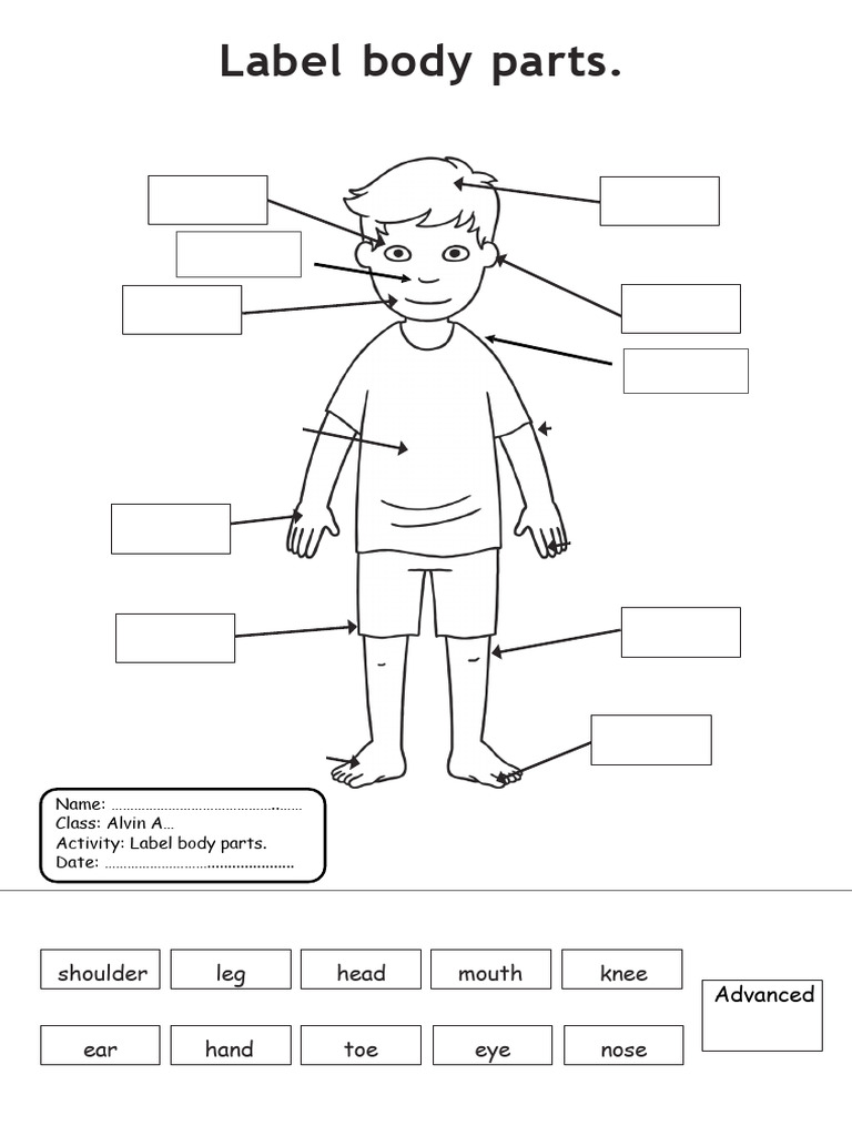 Label Body Parts Chuan | PDF