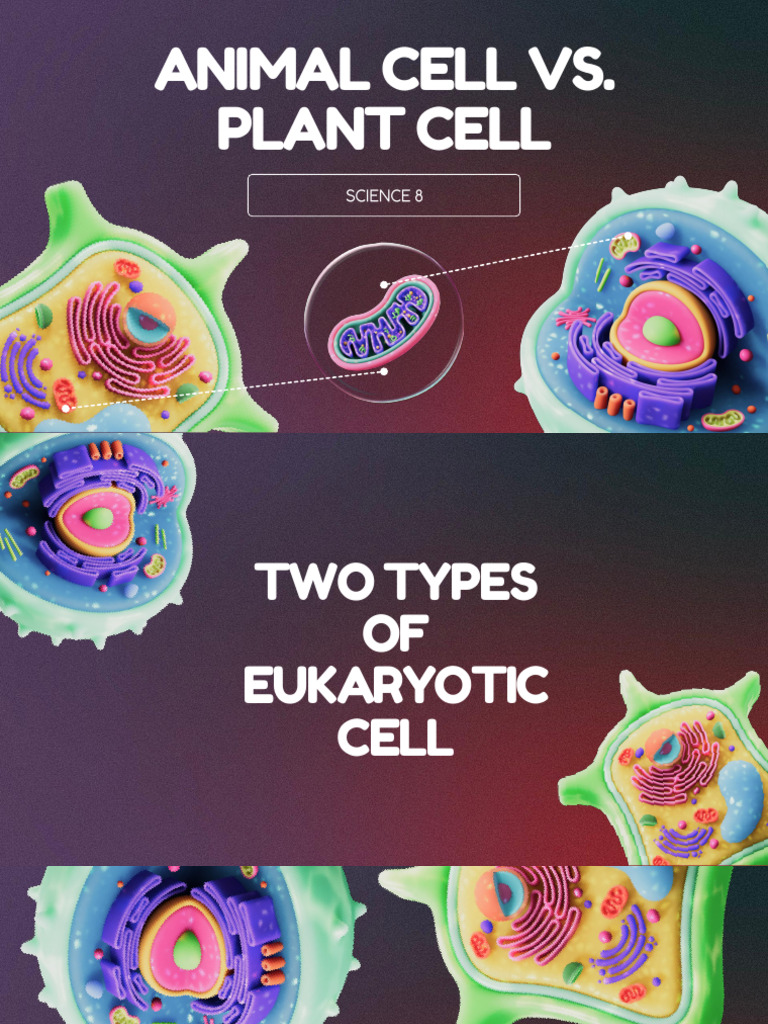 Q2 G7 - Animal and Plant Cells | PDF | Cell (Biology) | Endoplasmic ...