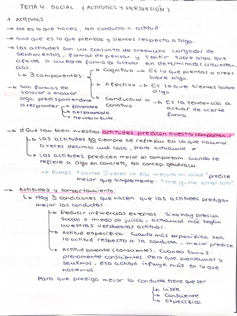 Tema 4 Social - Merged | PDF