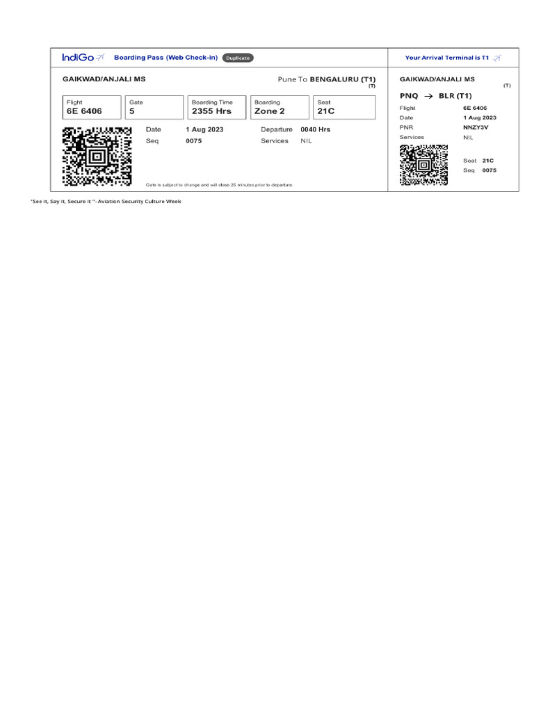Boarding Pass | PDF