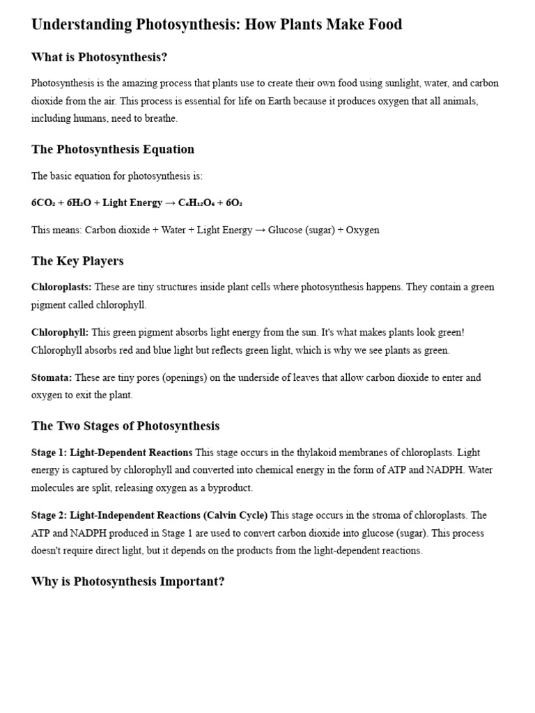 Grade 7 Science - Photosynthesis | PDF | Photosynthesis | Chloroplast