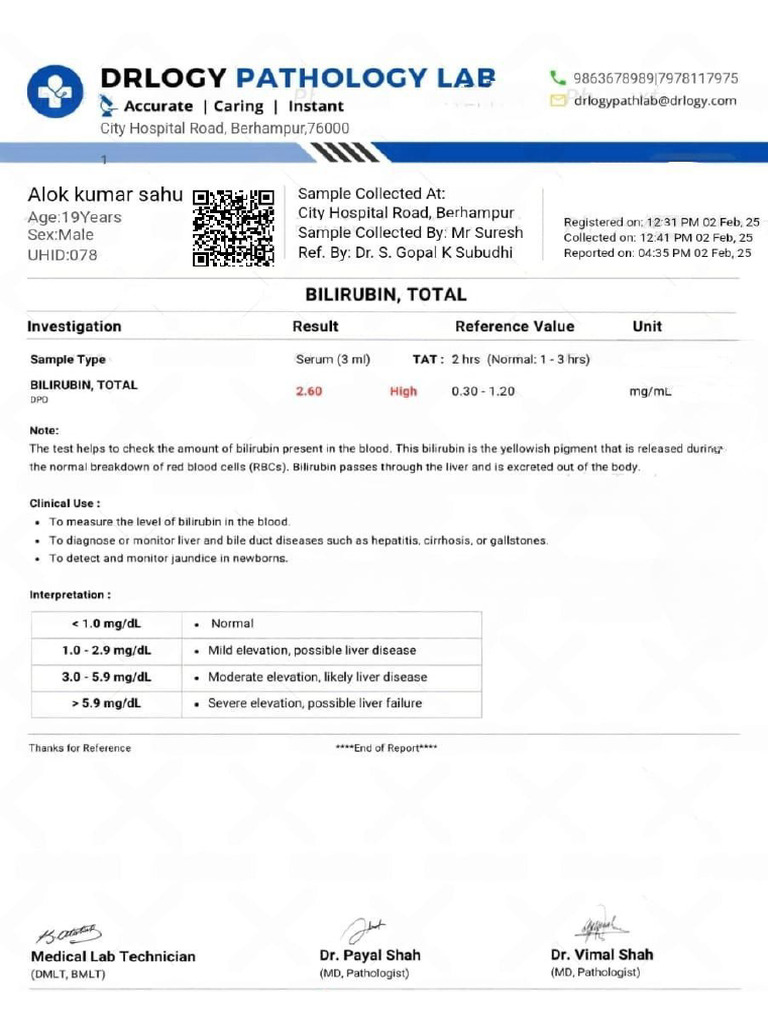 Bilirubin Test Report Alok | PDF