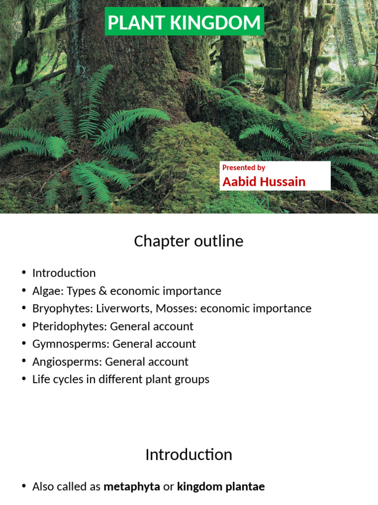Kingdom Plantae | PDF