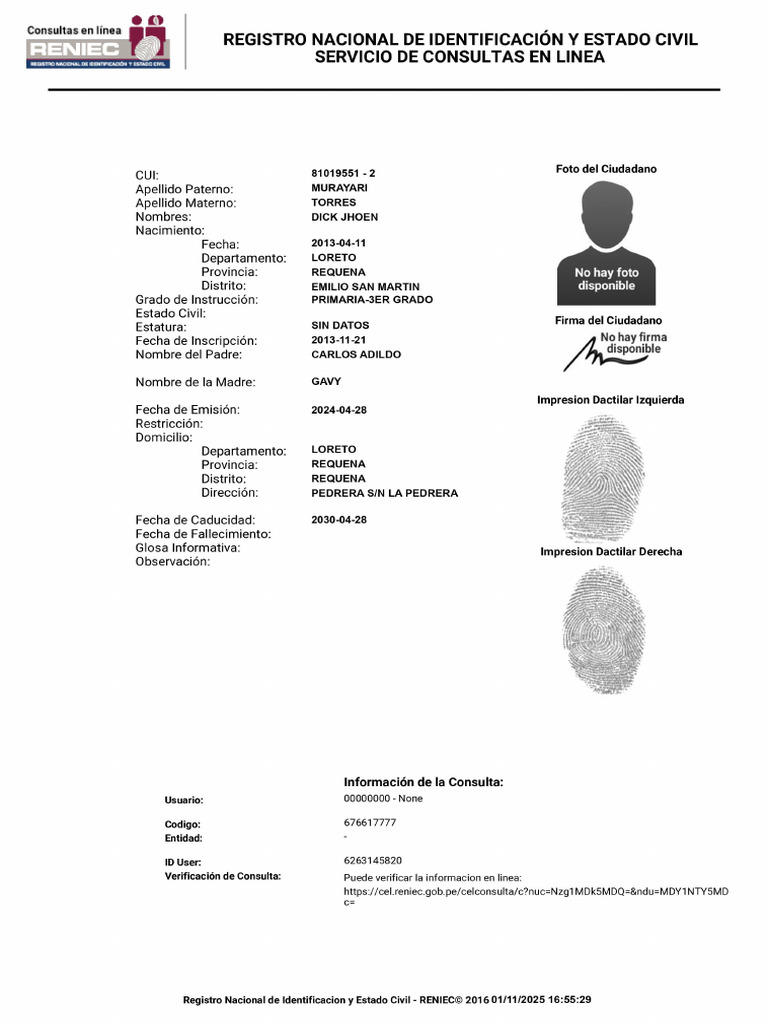 FICHA_C4_BLANCO_81019551 | PDF