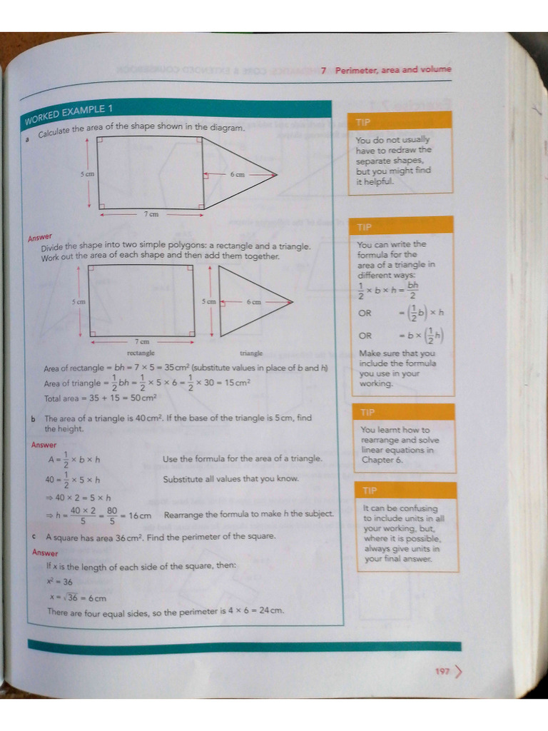 Grade 10 IGCSE Homework. | PDF