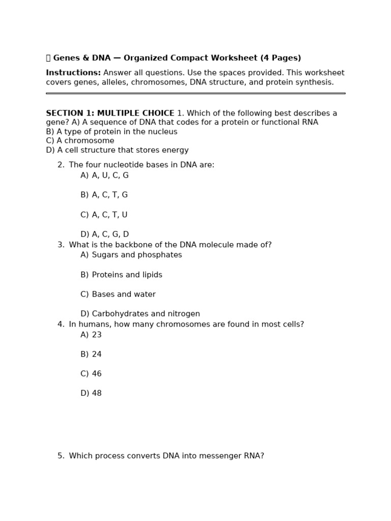 Genes and DNA Worksheet Guide | PDF | Gene | Translation (Biology)