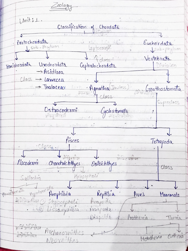 Zoology 2nd Semester Unit 1 Notes | PDF