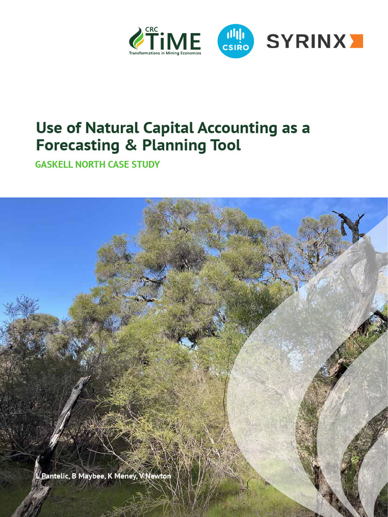 Natural Capital Accounting in Mining | PDF | Mining | Forecasting