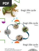 Lizard Life Cycle Stages Explained | PDF