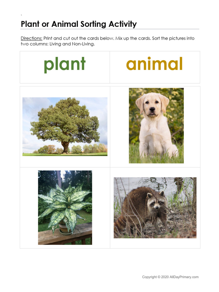 Plant vs. Animal Sorting Activity | PDF
